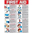 Amazon.com: First Aid Laminated Poster 24" X 36": Posters & Prints