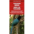 Yucatan Birds/Aves de Yucatan, 2nd Ed: A Folding Pocket Guide to ...