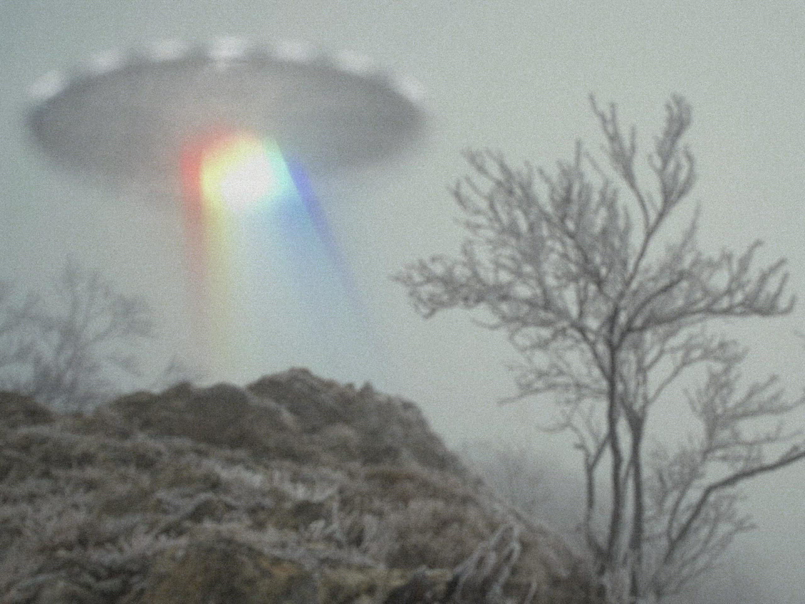 Watch Aliens In Alaska - Season 1 | Prime Video