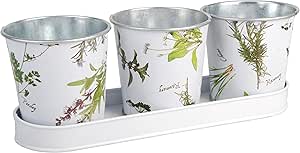 Amazon.com: Esschert Design Herb Print Galvanized Steel Flower Pots ...