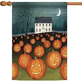 Amazon.com : Happy Halloween Pumpkin Owl Black Cat Double Sided House ...