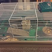 Rosewood PICO Hamster Home, Translucent Teal: Amazon.co.uk: Pet Supplies