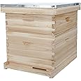 Amazon.com : BeeCastle 8 Frame Langstroth Bee Hive, Beehive Starter Kit ...