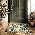 Amazon.com: jinchan Floral Area Rug 2x3 Entryway Vintage Spring ...