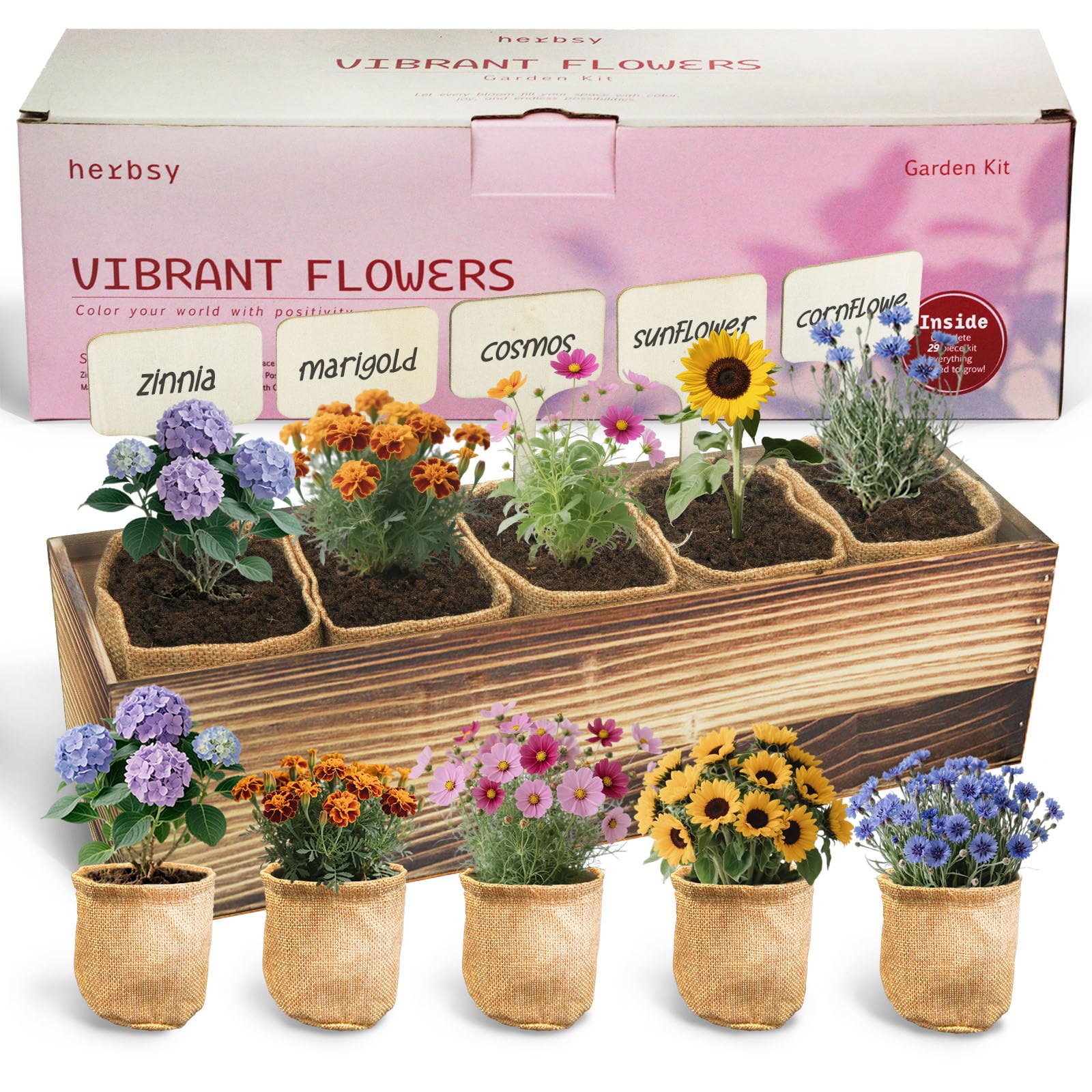 Herbsy 5 Indoor Flower Growing Kit, Complete Planting Starter Set with ...