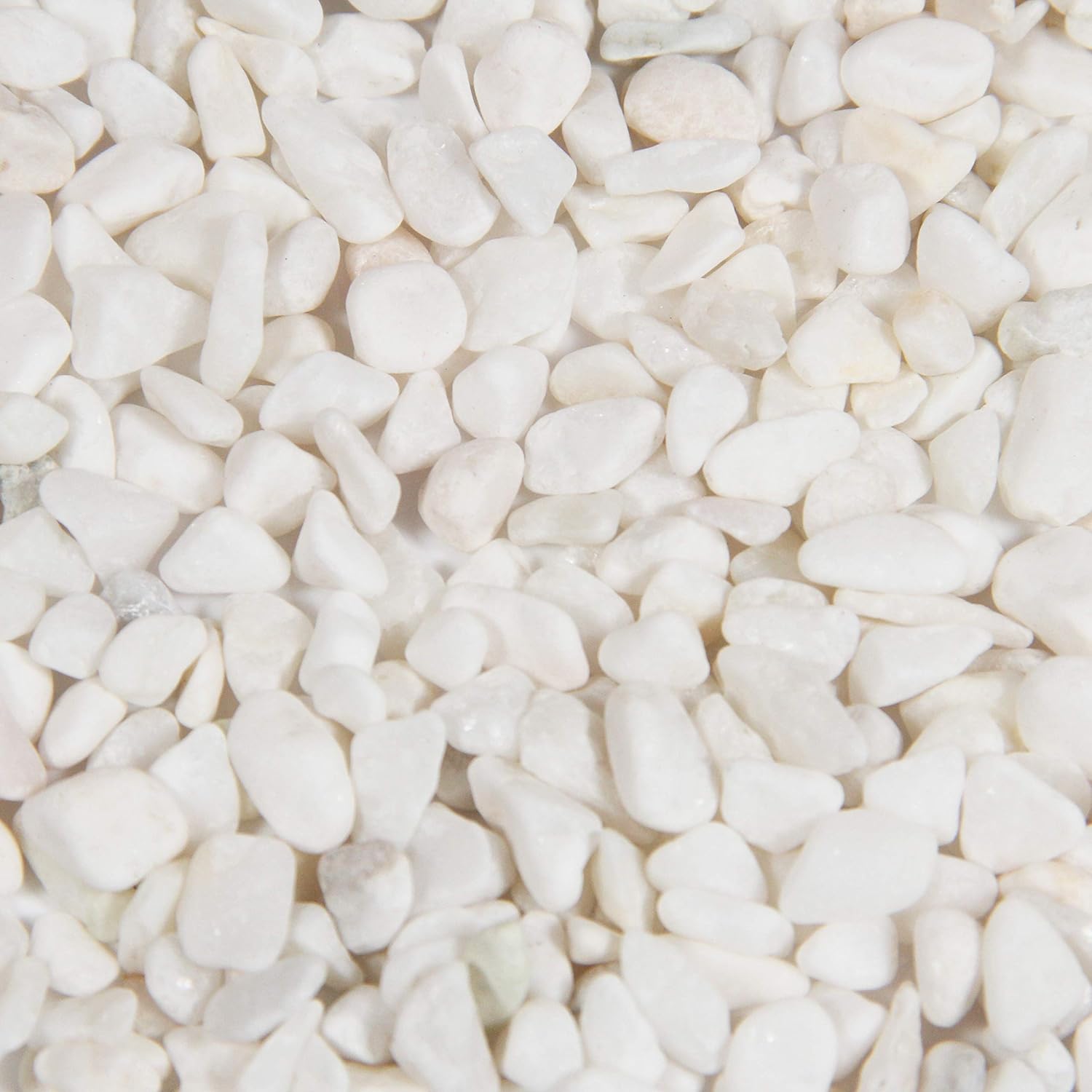 Amazon.com : Willowy White Decorative Pebbles - White - 5-10 mm - 2.5lb ...
