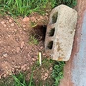 Amazon.com : Revenge Rodent Smoke Bombs (8-pack) Kills Rats Moles ...