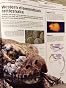 Knowledge Encyclopedia Animal!: The Animal Kingdom as You've Never Seen ...