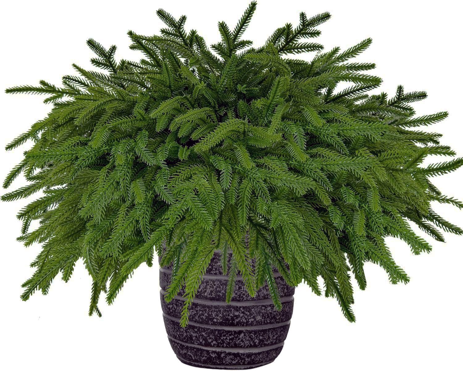 Caxchiling 24 PCS Norfolk Pine Stems Faux, 18 Inches Real Touch Norfolk ...
