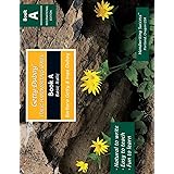 Italic Handwriting Series Book A: Barbara Getty, Inga Dubay ...