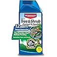 Amazon.com: BioAdvanced 12 Month Tree and Shrub Protect and Feed II ...