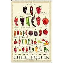 Chili Kochwettbewerb Plakat Wer Zuletzt Kocht ... Ein Internationaler