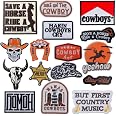 Amazon.com: 16pcs Western Iron On Patches West Cowboy Theme Embroidered ...