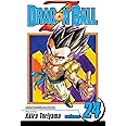 Amazon.com: Dragon Ball Z, Vol. 24: 9781421502731: Toriyama, Akira: Books