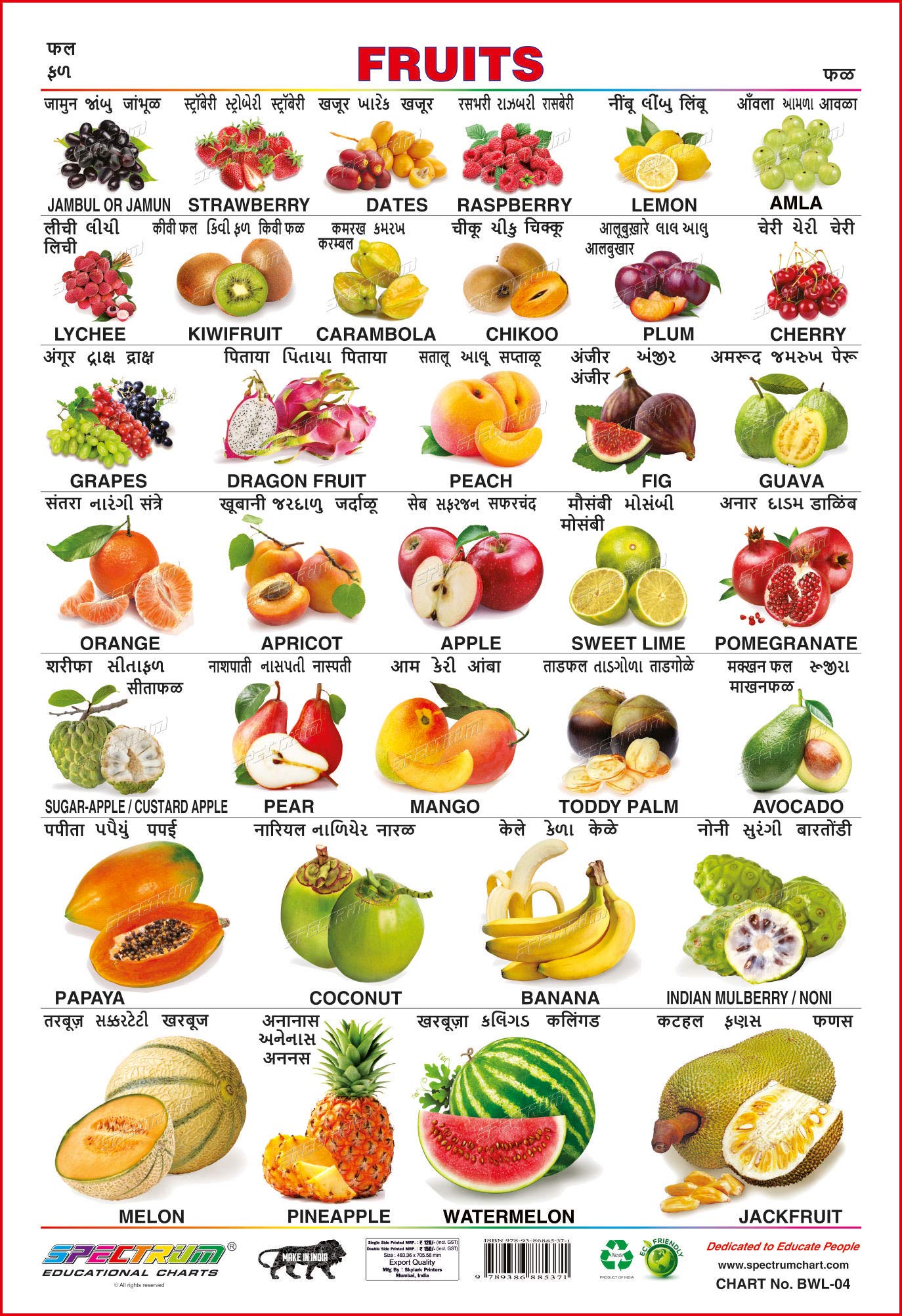 Fruits Name In English Hindi Tamil Marathi Fruits Name In English