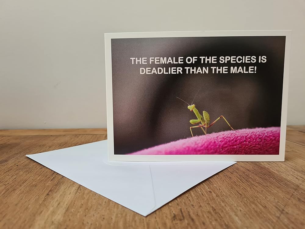 Greeting Card - Praying Mantis : Amazon.co.uk: Handmade Products