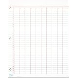 Amazon.com : Ampad Evidence Data Pad, Size 8-1/2 x 11, 9 Columns, 31 ...