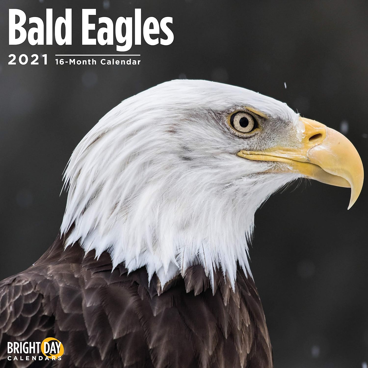 2021 Bald Eagles Wall Calendar by Bright Day, 12 x 12 Inch, Birds ...