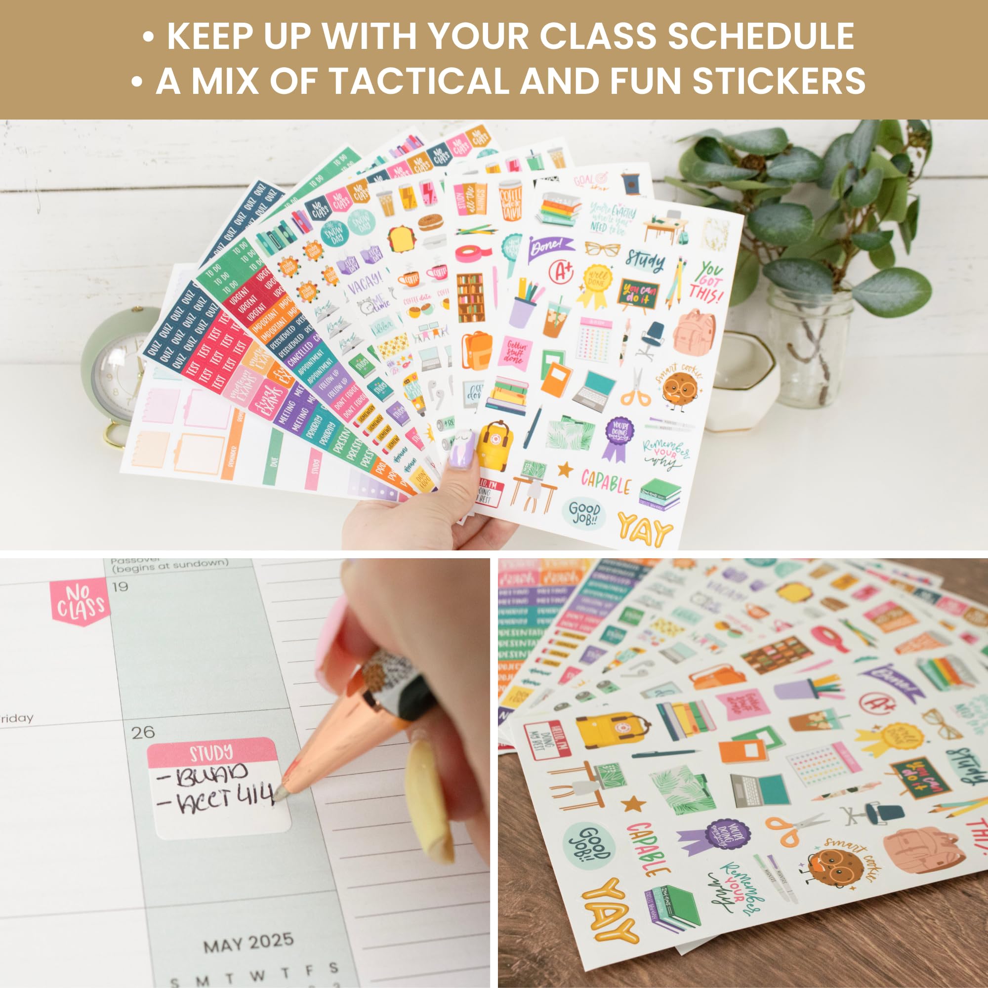 Mua bloom daily planners Student Planner Stickers - 8 Sheets / 672 ...