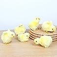 Amazon.com: Basuo-9Q Set of 6 Realistic Yellow Furry Baby Chicks ...