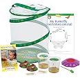 Amazon.com: Butterfly Garden: Original Habitat and Two Live Cups of ...