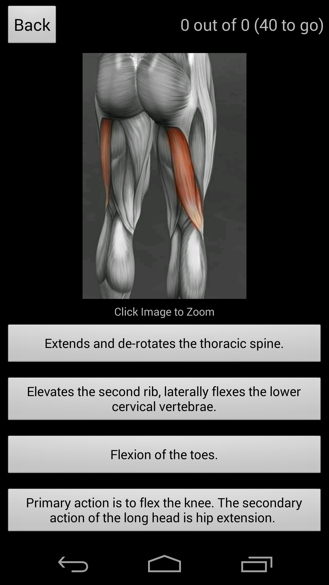 Learn Muscles: Anatomy:Amazon.de:Appstore for Android