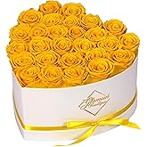 Amazon.com: GLAMOUR BOUTIQUE Preserved Roses in a Box - Gifts for Her ...