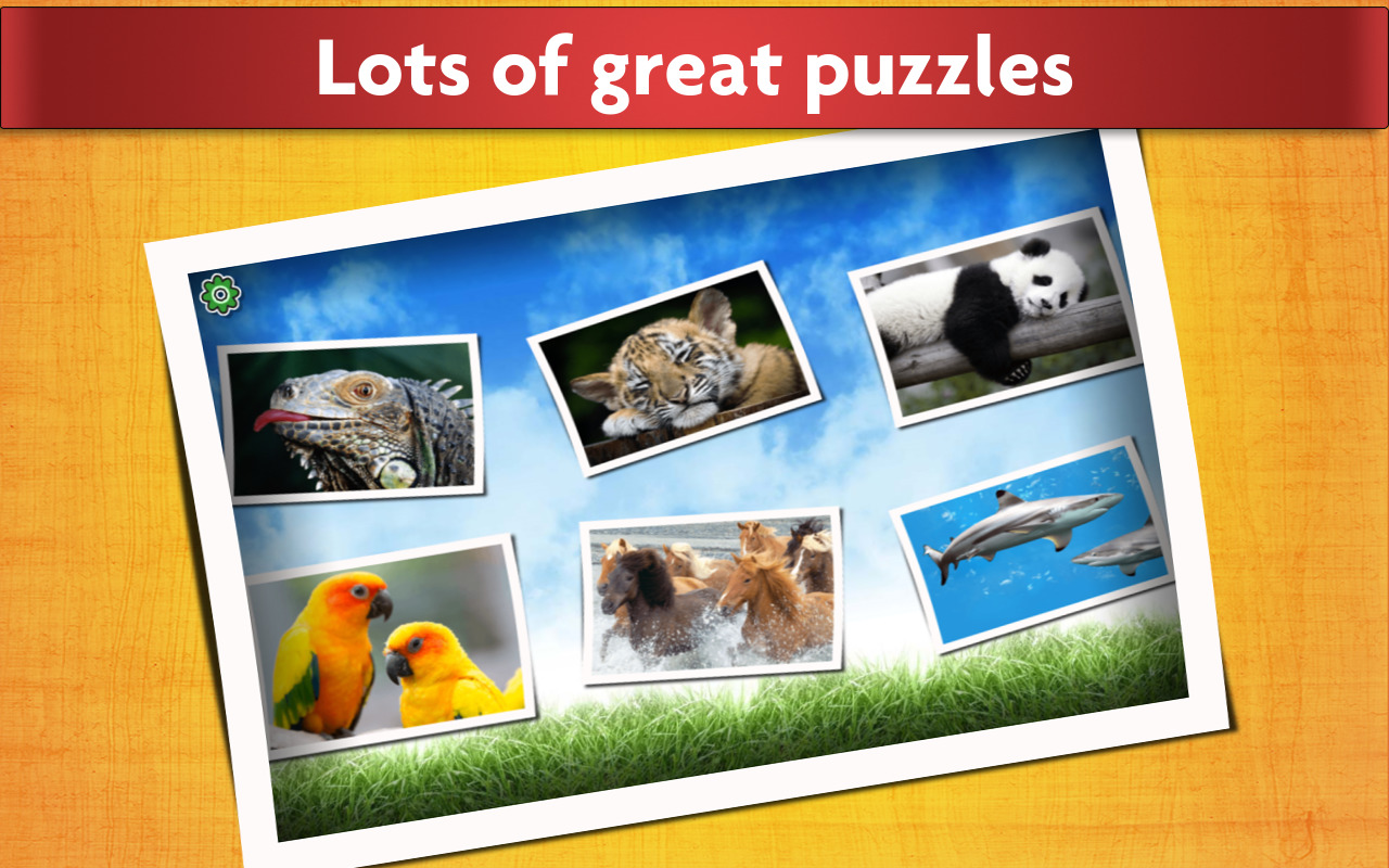 Wild Animal Puzzles for Kids and Adults - Fun, Relaxing and Educational ...