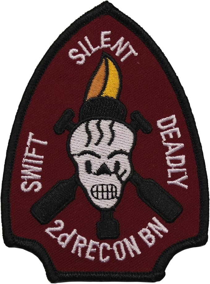 Amazon.com: 2nd Recon Battalion Patch Full Color: Clothing