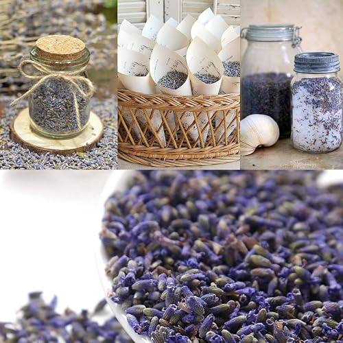 Bulk Lavender Wedding Wholesale Lavender, Farm Direct, Bulk Lavender