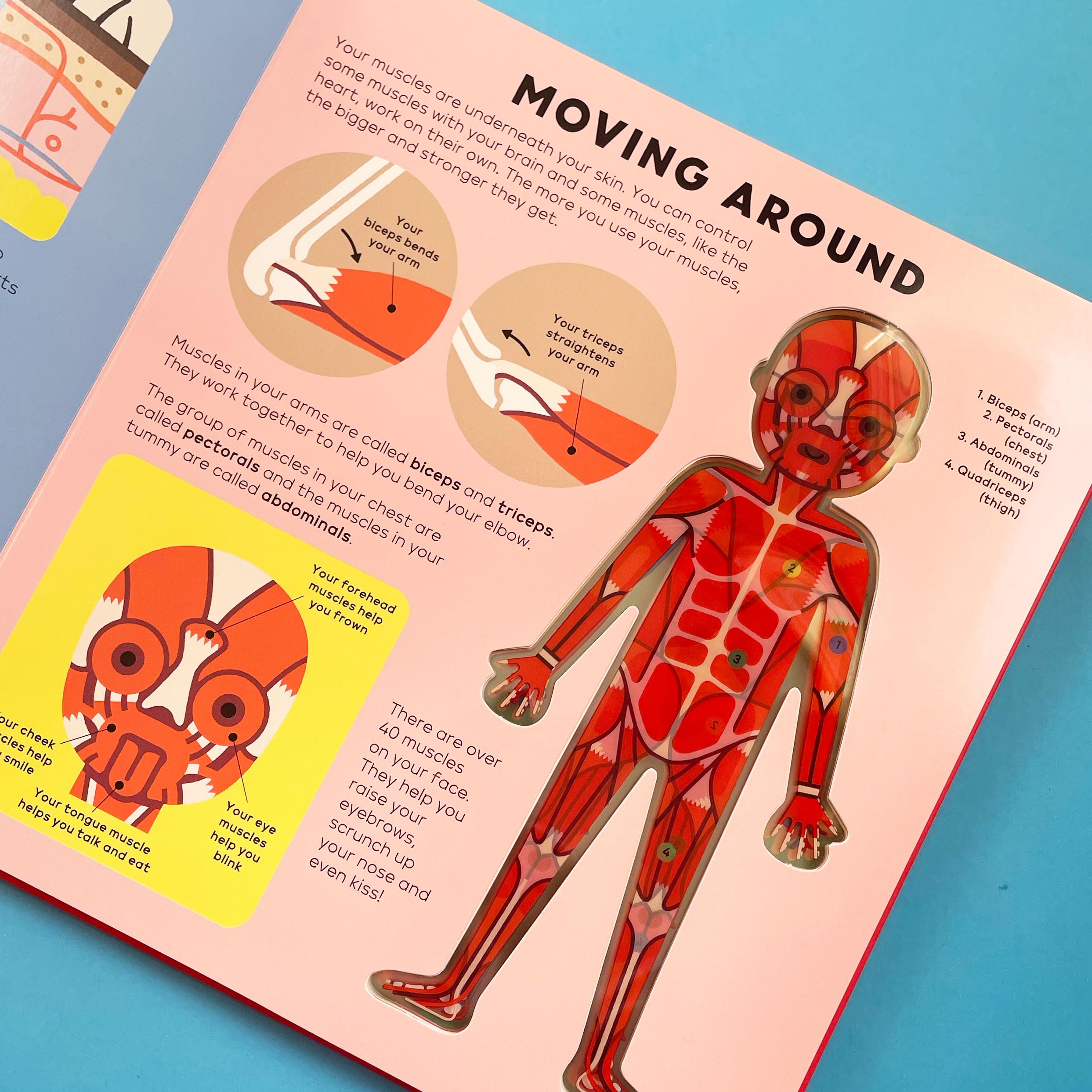 Mua The Body Book: Look inside the human body with amazing SEE-THROUGH ...