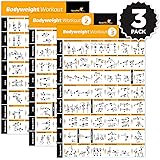 Amazon.com: Exercise Ball Poster Laminated - Total Body Workout ...