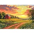 Amazon.com: 1000 Piece Puzzle For Adults Country Scene Puzzles For ...