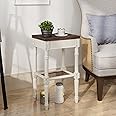 Amazon.com: COZAYH Rustic Farmhouse Cottagecore Accent End Table ...