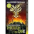 Amazon.com: Through the Dark (Bonus Content)-A Darkest Minds Collection ...