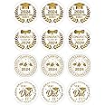 Amazon.com: Lucleag Gold Class of 2024 Graduation Envelope Seals ...