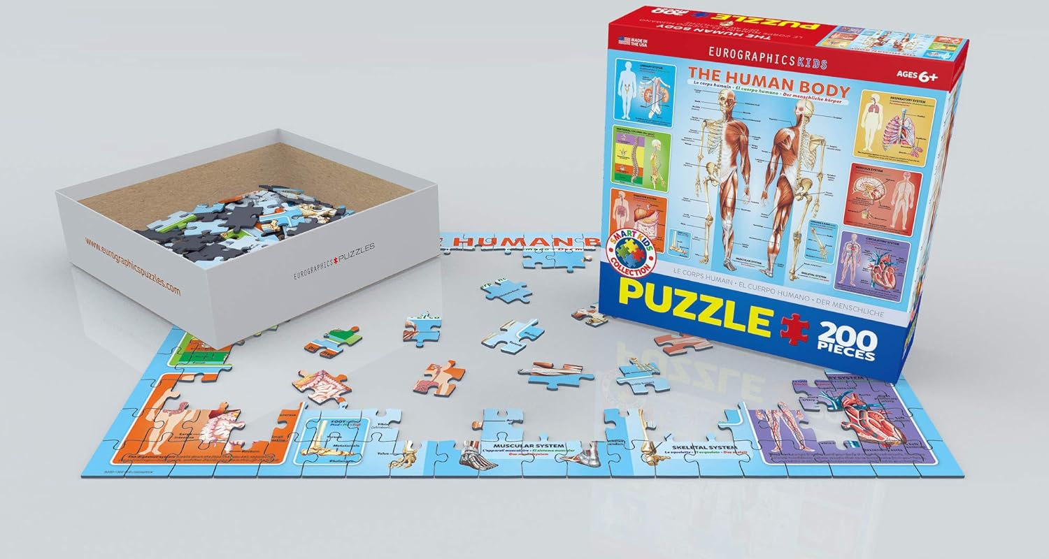 RIGHT BRAIN CHILD The Benefits Of Solving Jigsaw Puzzles