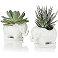 Amazon.com : A Set of 2 Ceramic Elephant Succulent Planter Pots with ...