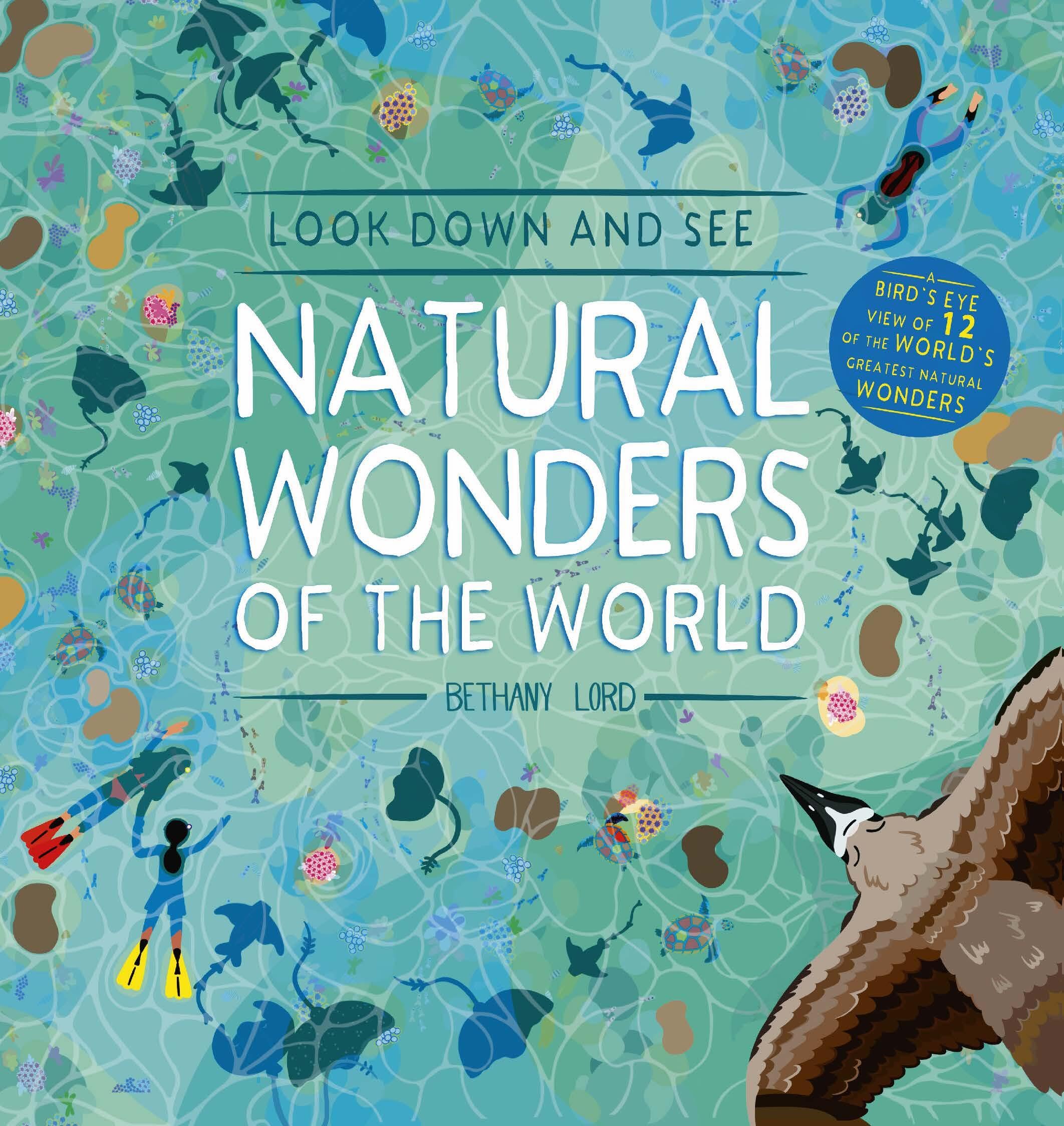Mua Look Down and See Natural Wonders of the World: A Bird's Eye View ...