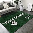 Amazon.com: Keep Off Wet Grass Area Rugs Green Modern Large Carpet ...