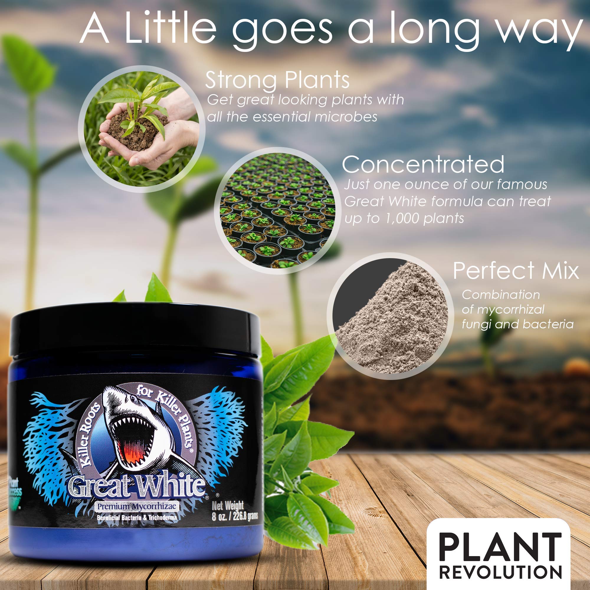 Mua Great White Mycorrhizal Fungi Root Enhancer by Plant Success ...