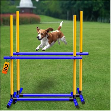 Dog Jump Cycle