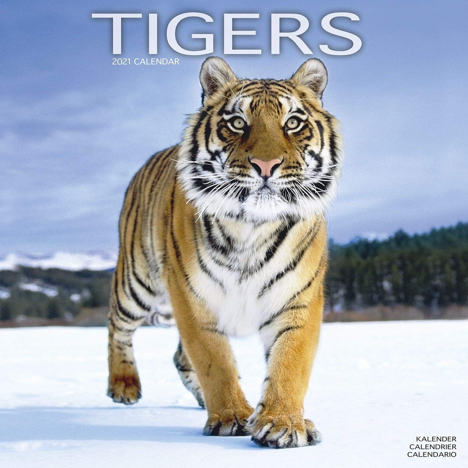 Amazon.com : Tigers Calendar - Calendars 2020-2021 Wall Calendars ...