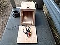 Wildlife World Camera Ready Nest Box CRNB : Amazon.co.uk: Garden & Outdoors