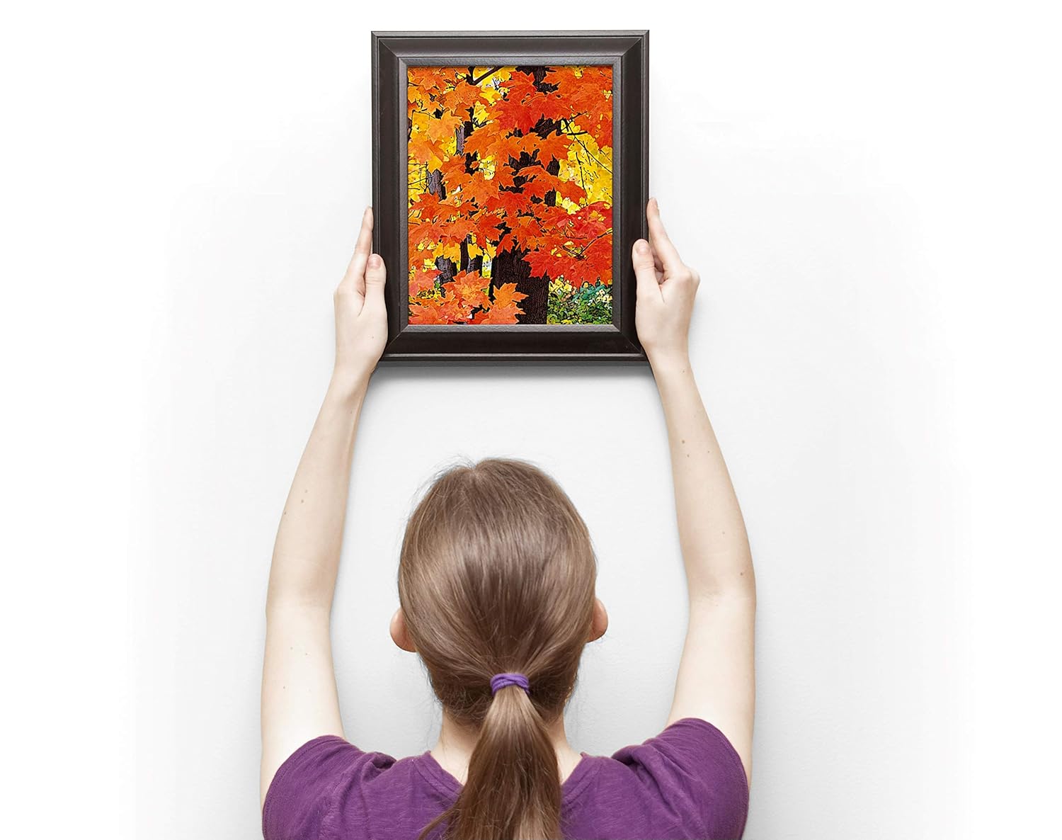 Fischer 070021 6 x 30 mm SX S/10 Expansion Plug – Zinc (50-Piece ...