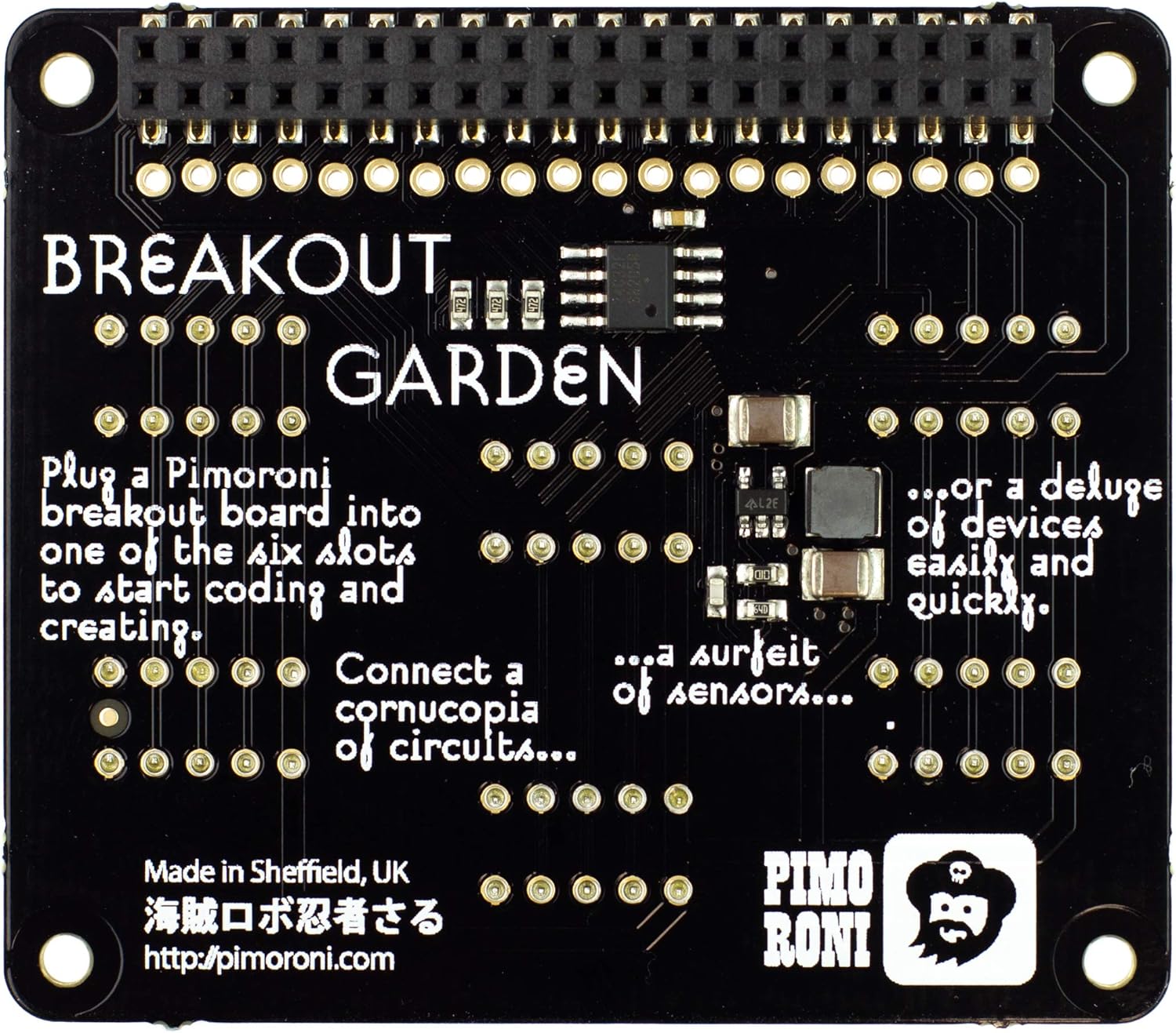 Pimoroni Breakout Garden HAT – BigaMart