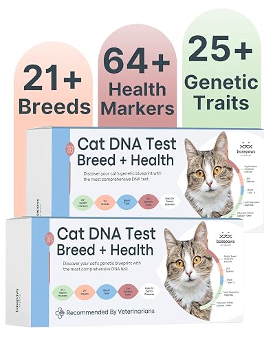 Basepaws Cat DNA Test Kit 2 Pack - 21+ Breeds, 114+ Health and Dental ...