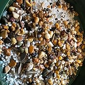 SE GP2-9 T 9Pc Wire Sifting Pan Set, Fits on A 5 Gallon Bucket: Amazon ...