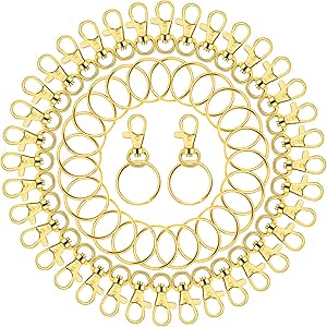 Gold Keychain Rings for Craft, Paxcoo 100pcs Keychain Hardware Kit ...