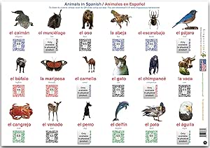 Amazon.com: Linguacious Teachers' Favorite Spanish Animals and Objects ...